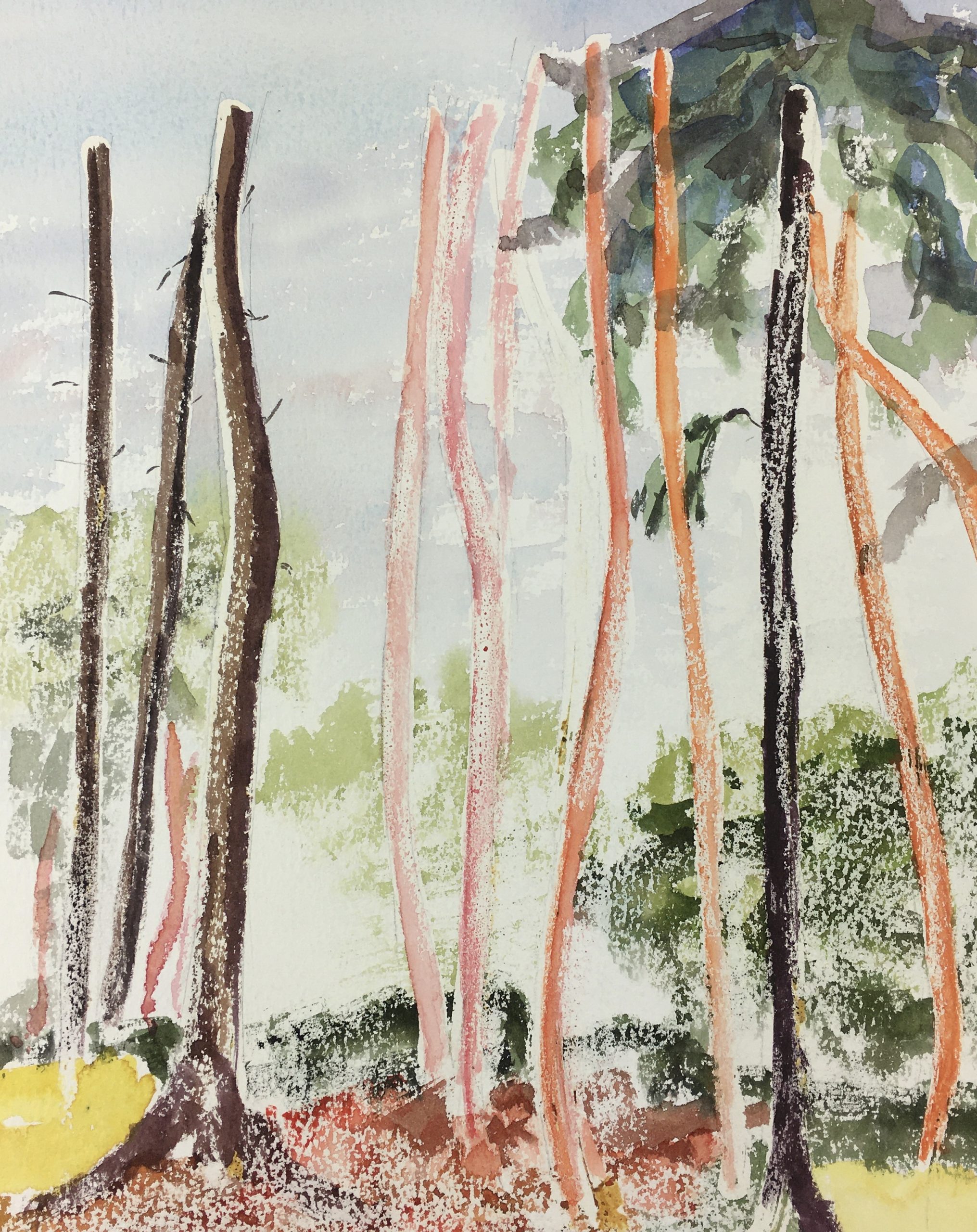 Trees Original Art - Watercolor - Colored Treescape, C.1970 - Original ...